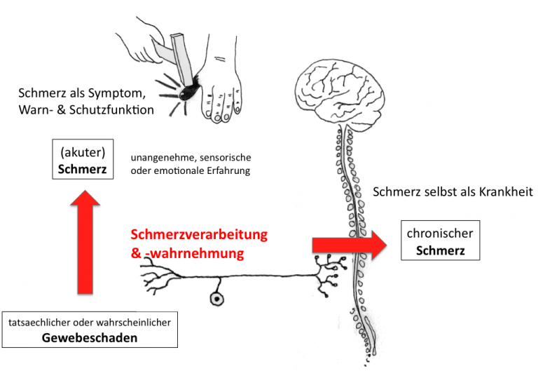 chronic pain | yoga - yoga - gemeinsam | bei sich - sein